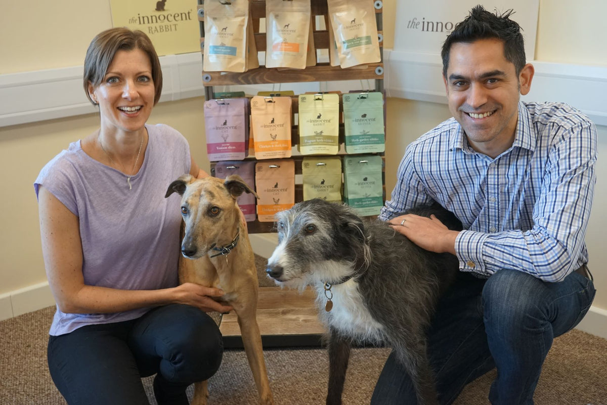 SALSA accreditation for The Innocent Pet – The Innocent Hound