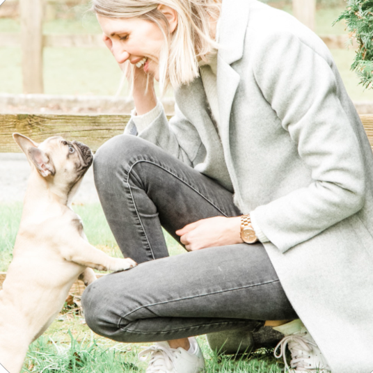 Puppy Socialisation Myths by Gretta Ford – The Innocent Hound